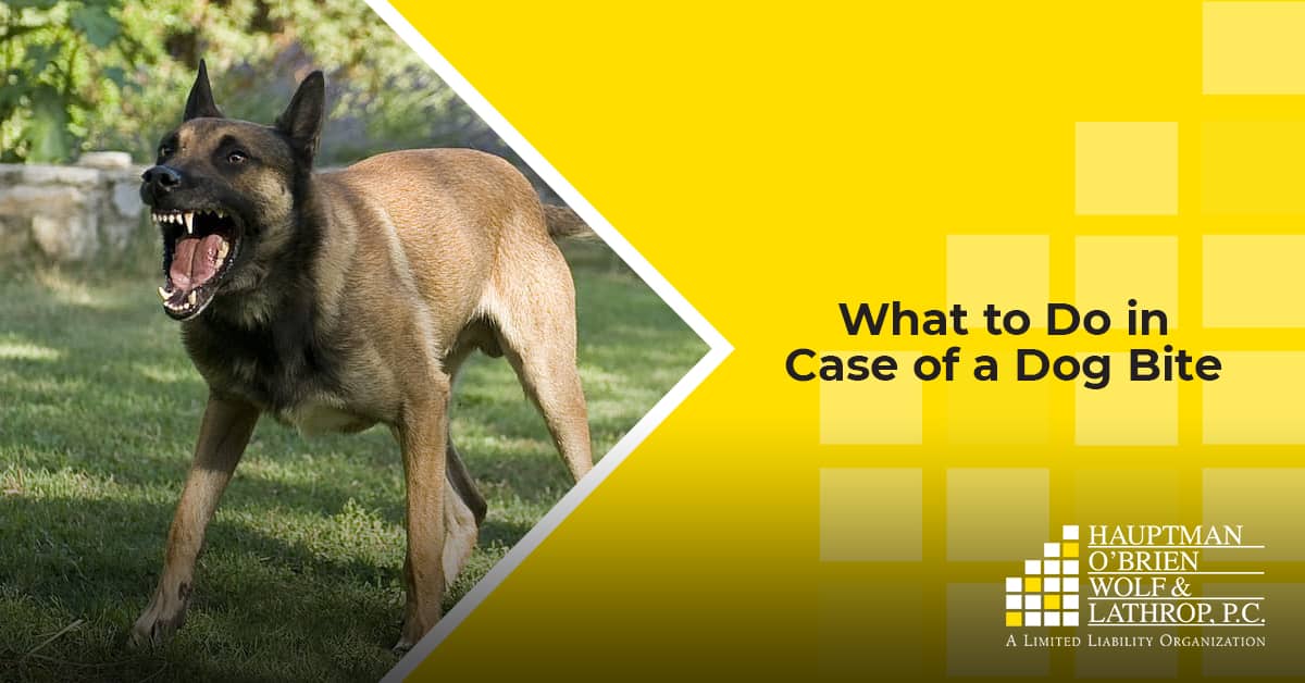 German Shepherd Bite Marks